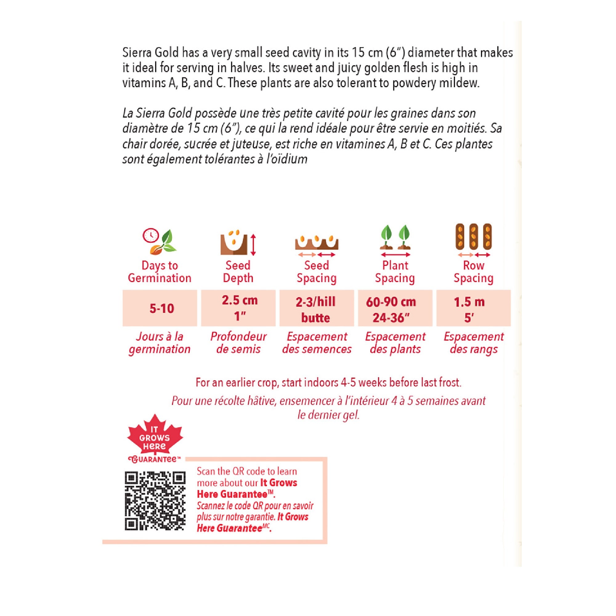 Buy Organic Cantaloupe Sierra Gold Fruit Seed Online | McKenzie Seeds