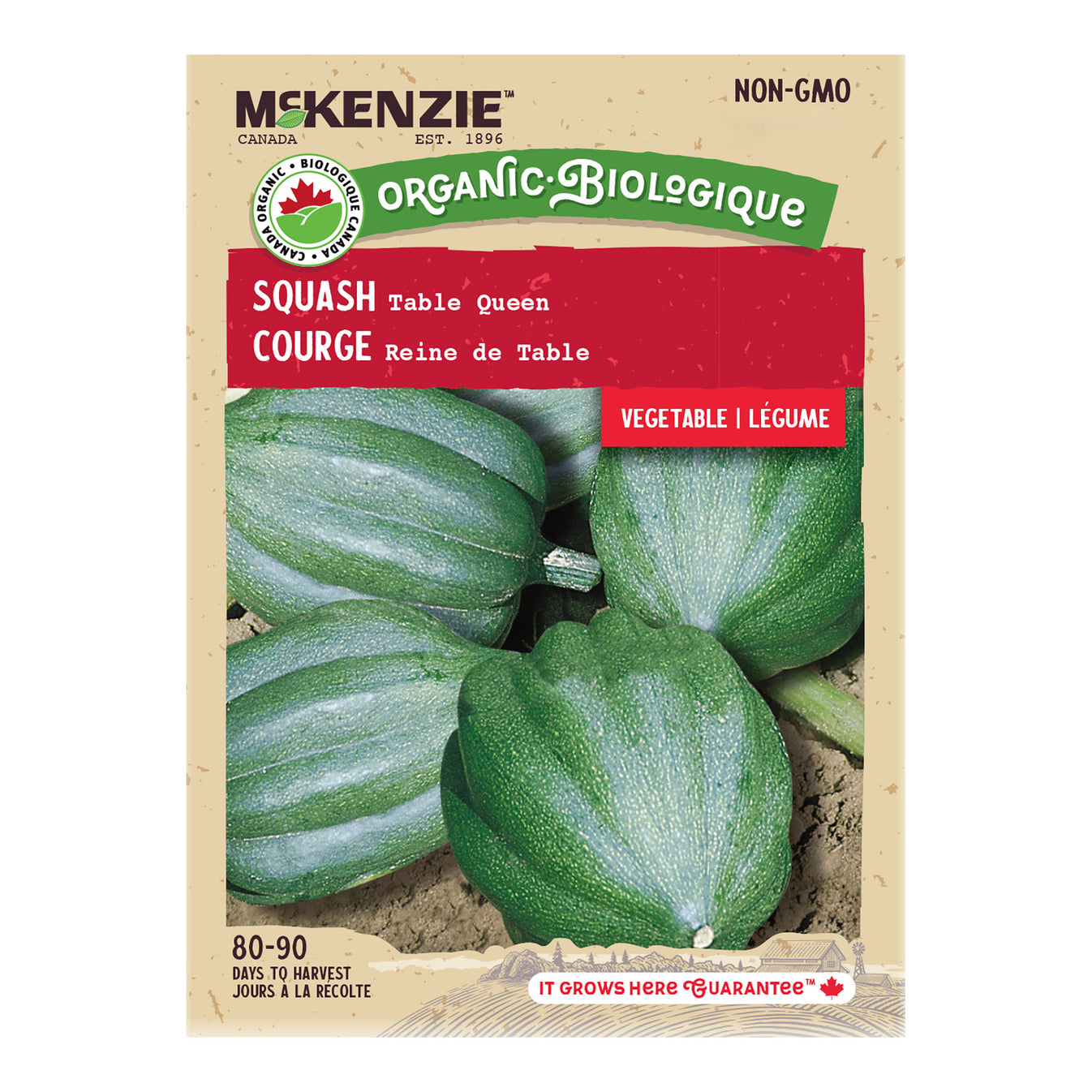 Organic Squash Table Queen Vegetable Seed Online | McKenzie Seeds