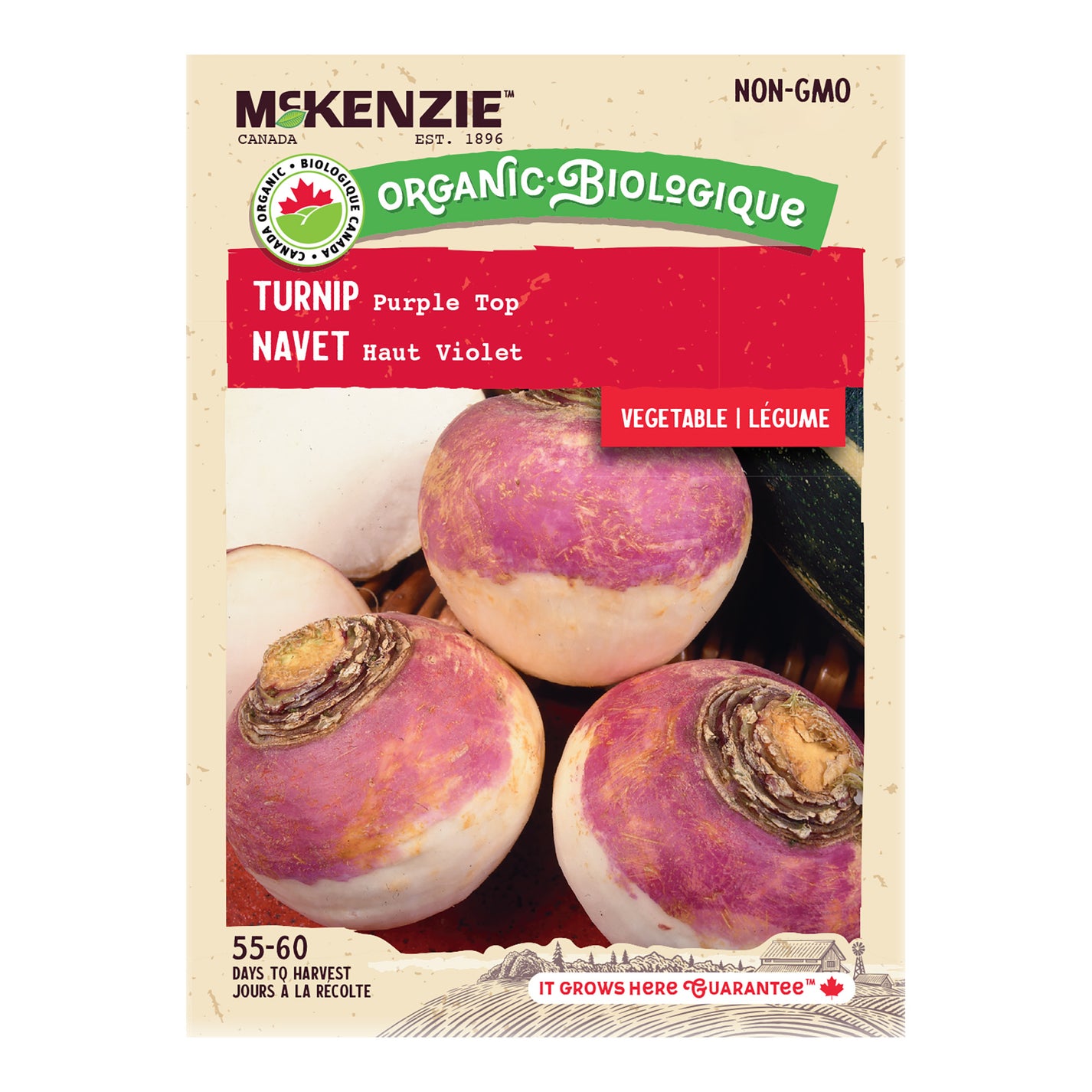 Buy Organic Turnip Purple Top Vegetable Seed Online | McKenzie Seeds