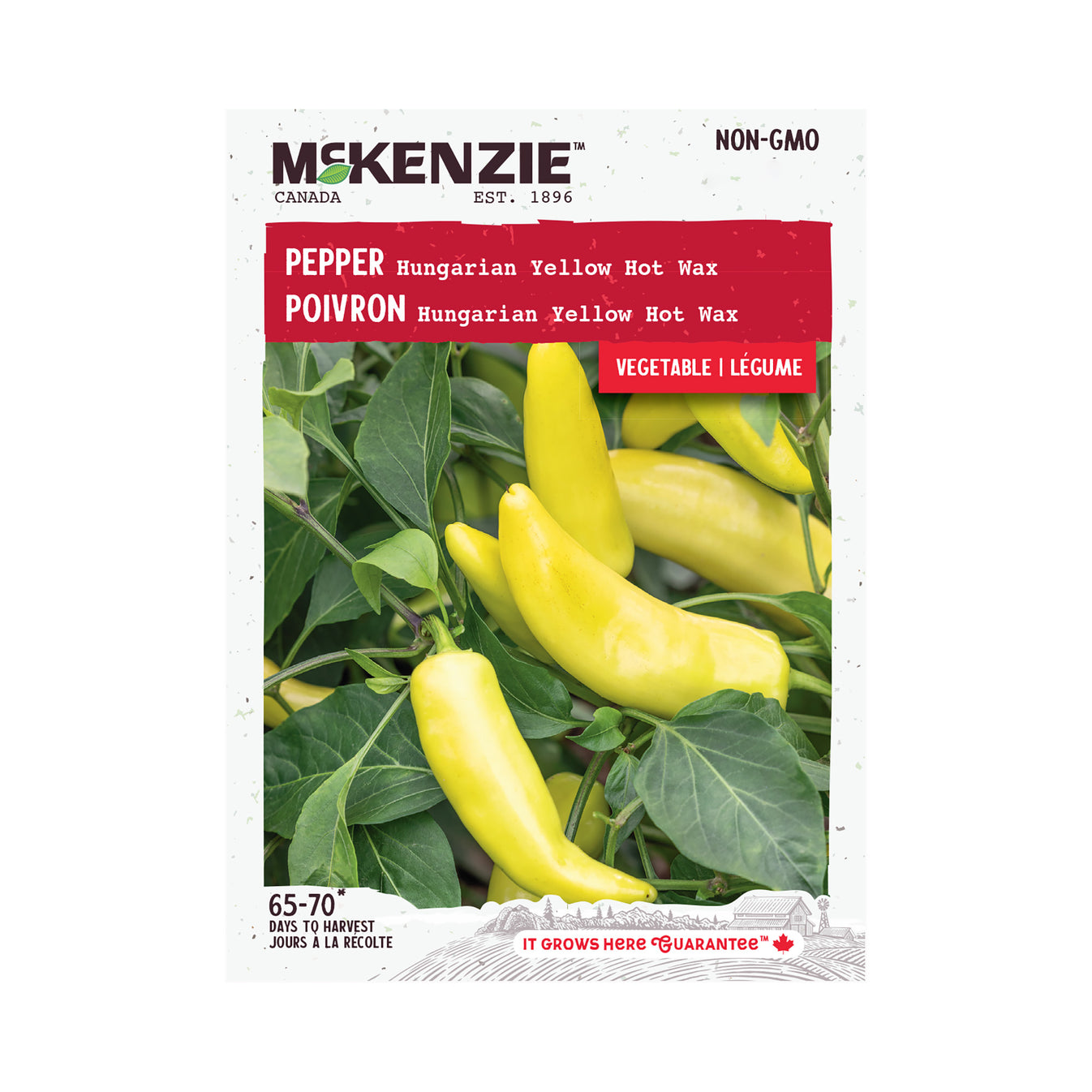 Buy Hungarian Yellow Hot Wax Seed Online | McKenzie Seeds
