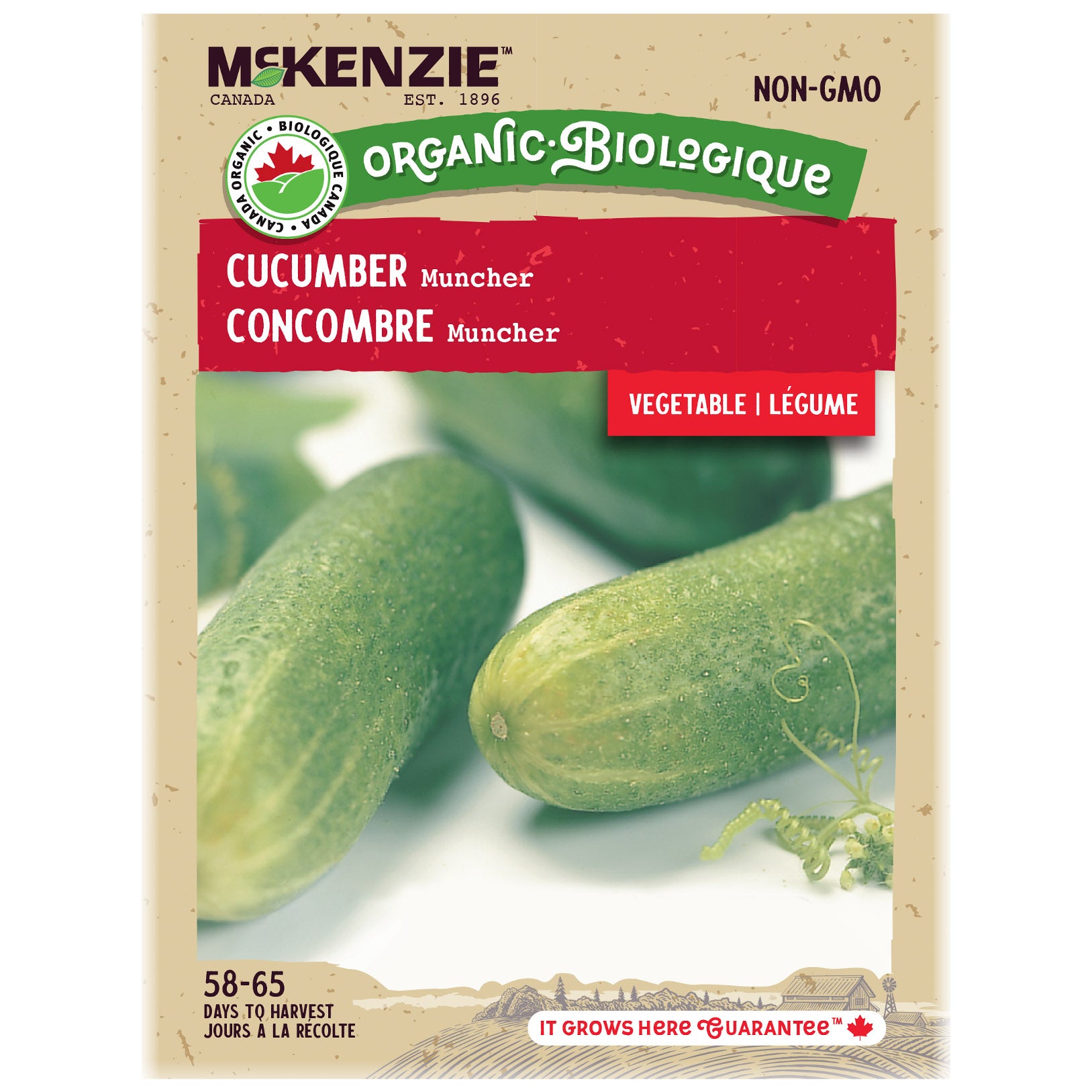 Buy Organic Cucumber Muncher Vegetable Seed Online | McKenzie Seeds