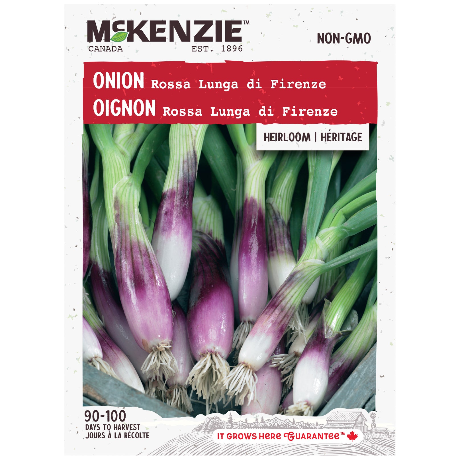 Buy Rossa Lunga di Firenze Onion Seed Online | McKenzie Seeds