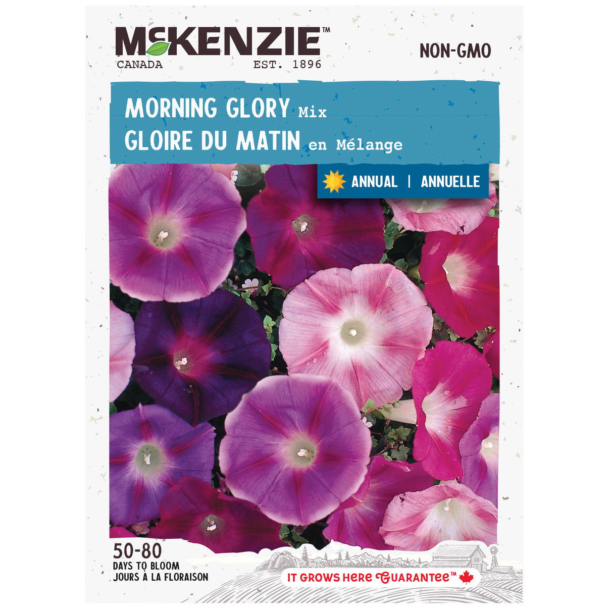 Buy Morning Glory Mix Flower Seed Online | McKenzie Seeds