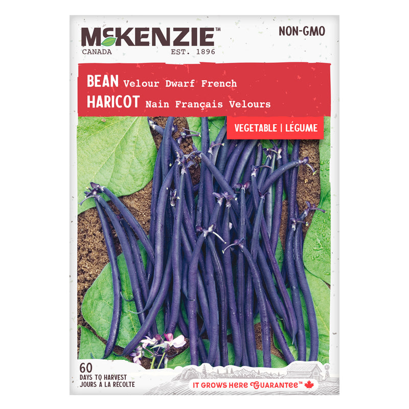 Bean Seeds, Velour Dwarf French Bush – McKenzie Seeds