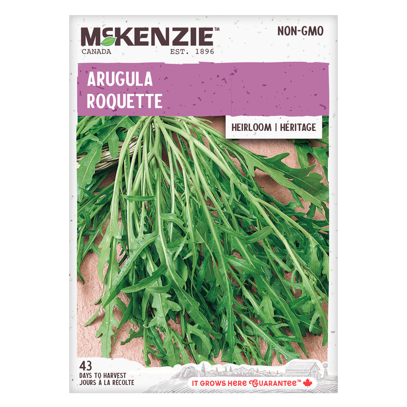 Buy Arugula Seed Online | McKenzie Seeds
