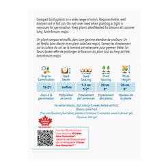 Buy Snapdragon Mini Snap Mix Flower Seed Online | McKenzie Seeds