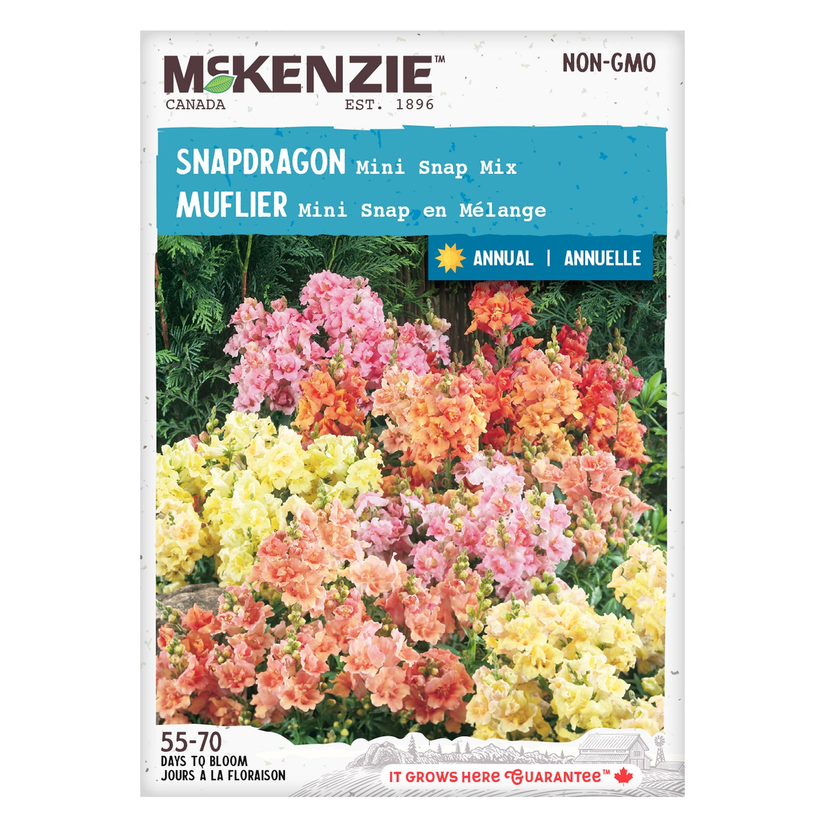 Buy Snapdragon Mini Snap Mix Flower Seed Online | McKenzie Seeds