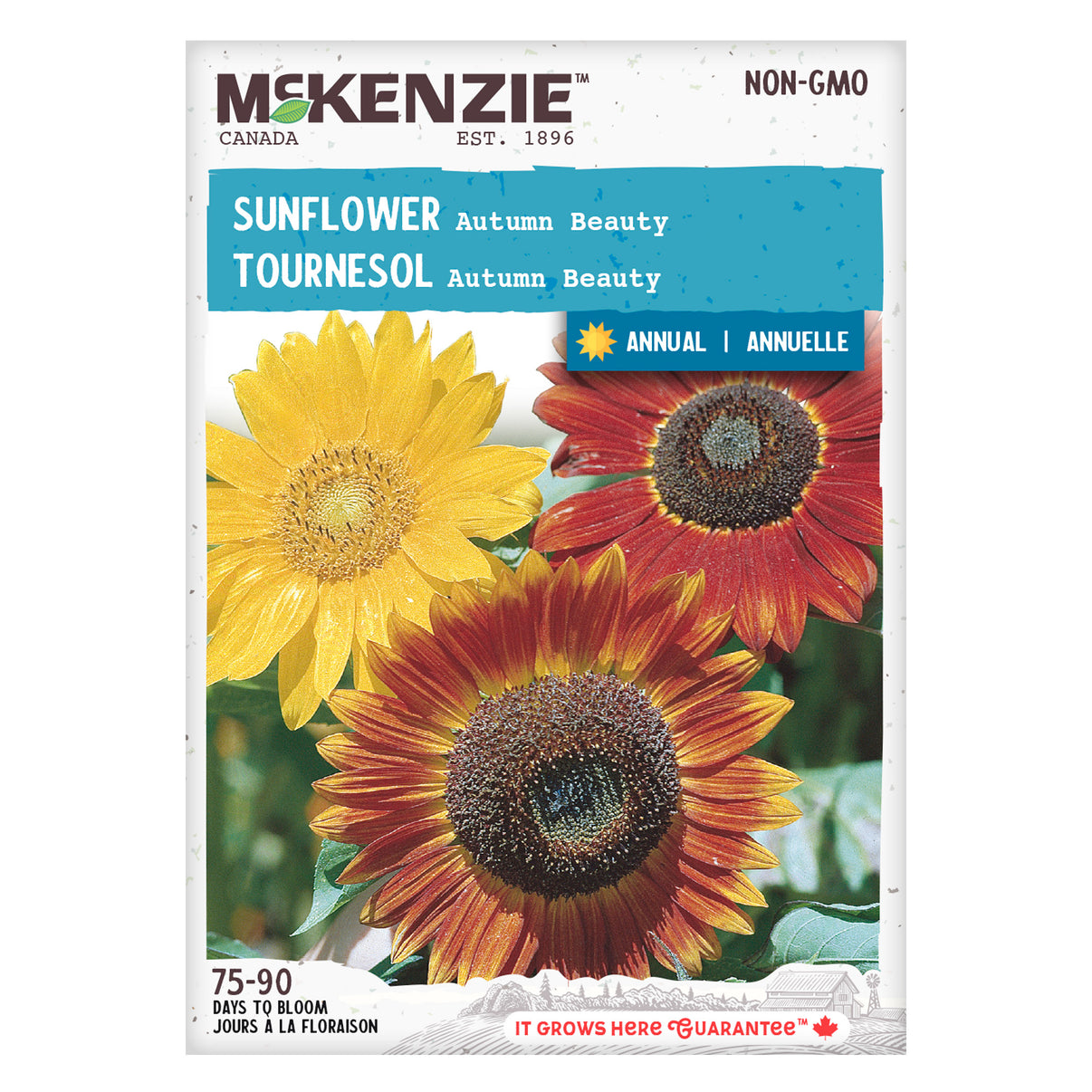 Buy Sunflower Autumn Beauty Flower Seed Online | McKenzie Seeds