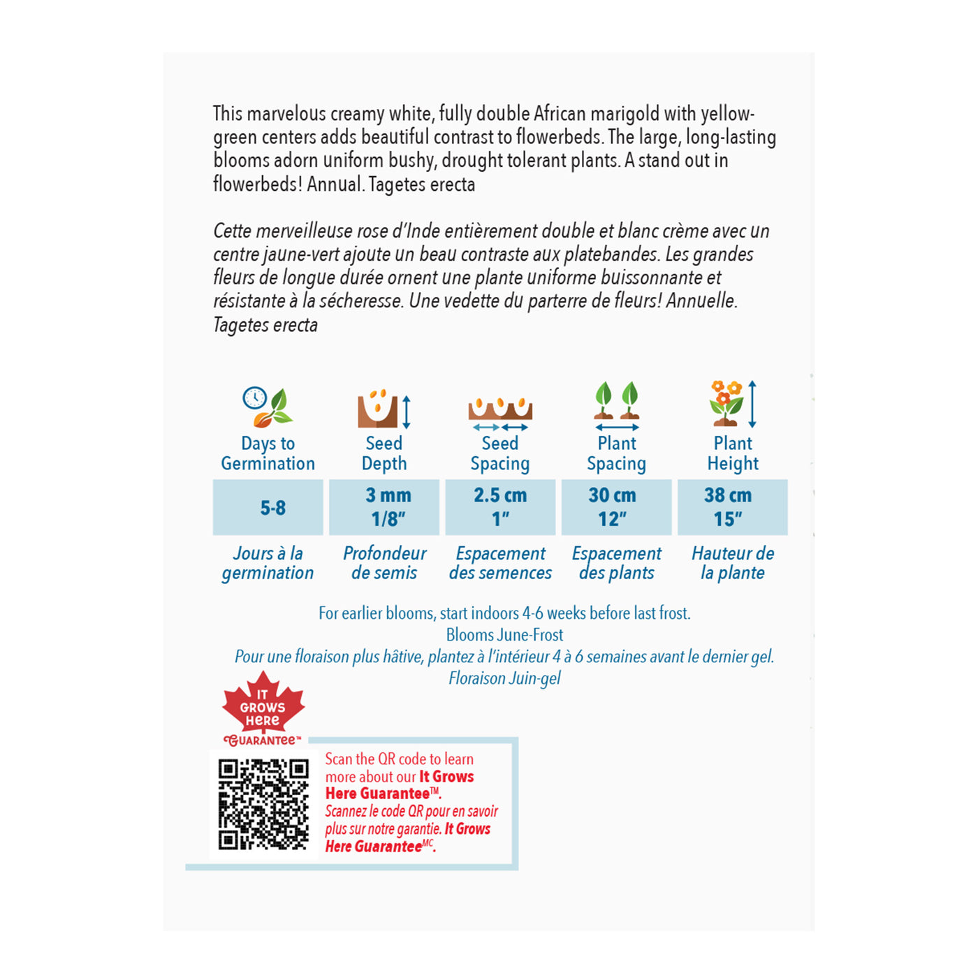 Marigold Seeds, Eskimo – McKenzie Seeds