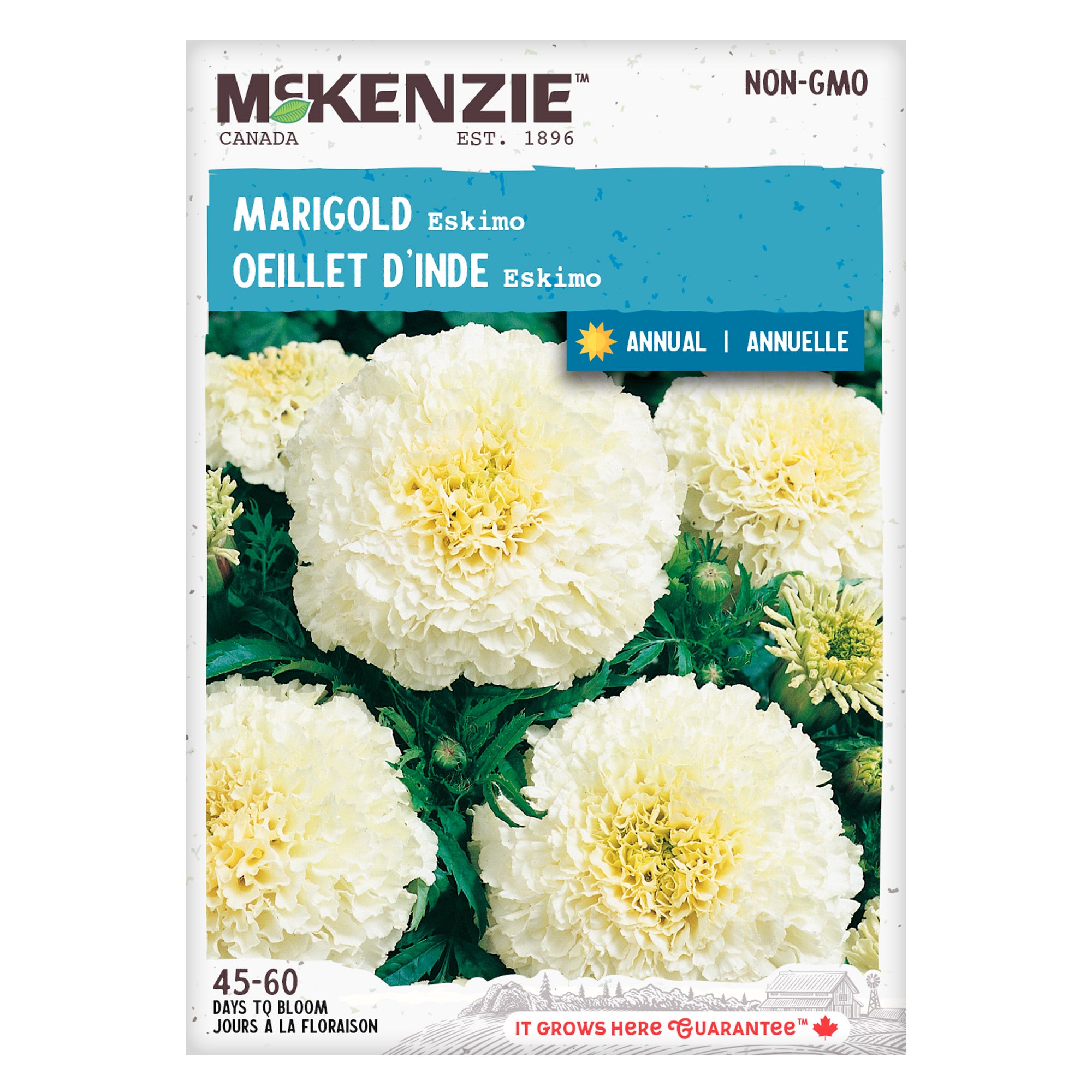 Buy Marigold Eskimo Flower Seed Online | McKenzie Seeds