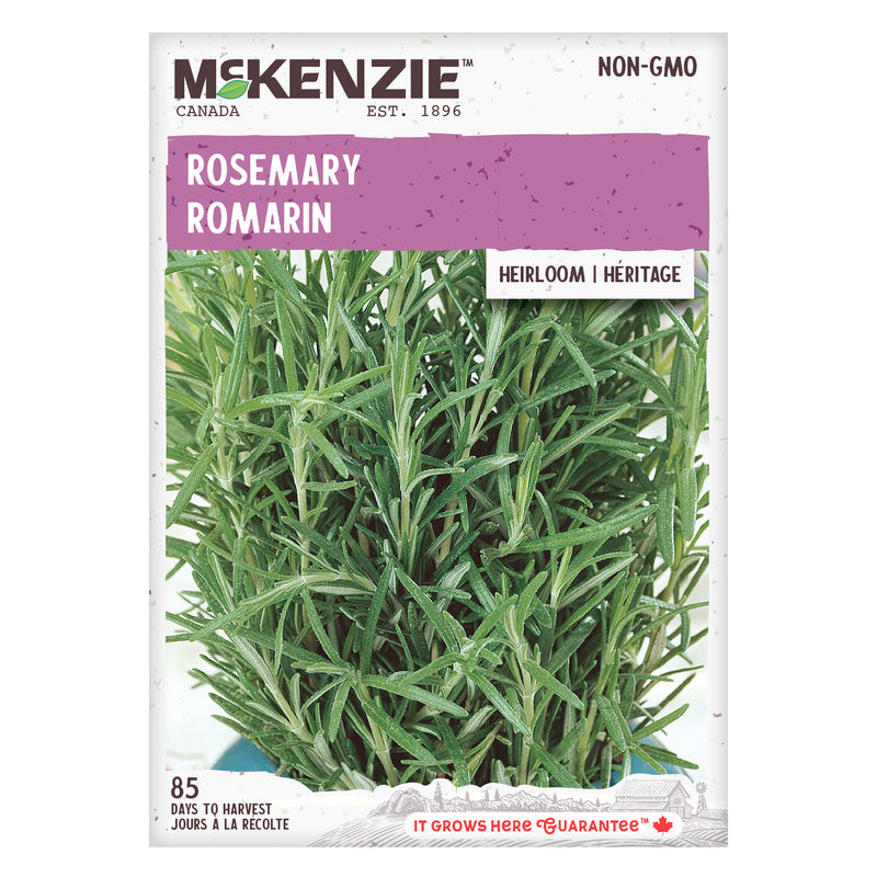 Rosemary Seeds – McKenzie Seeds
