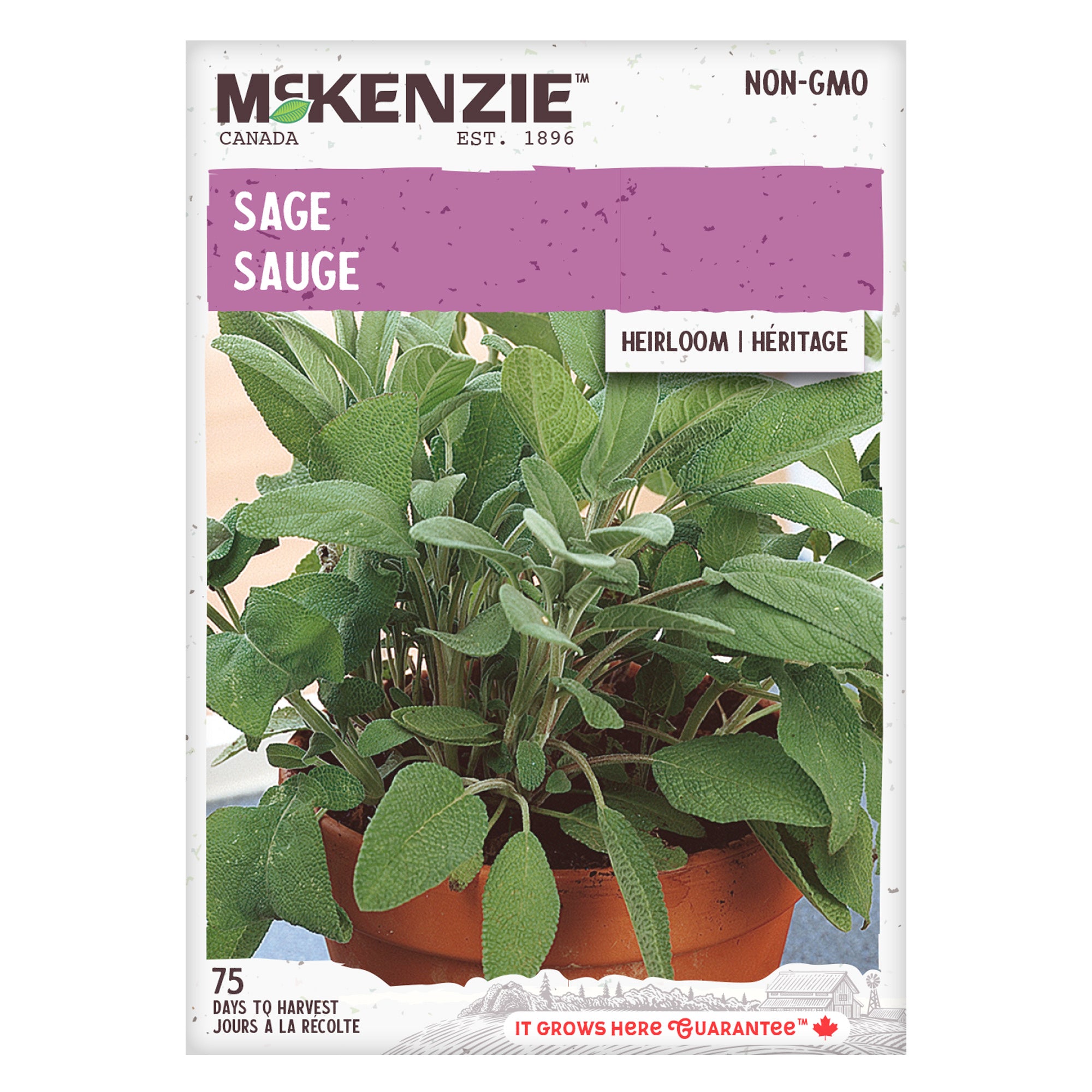 Buy Sage Herb Seed Online | McKenzie Seeds
