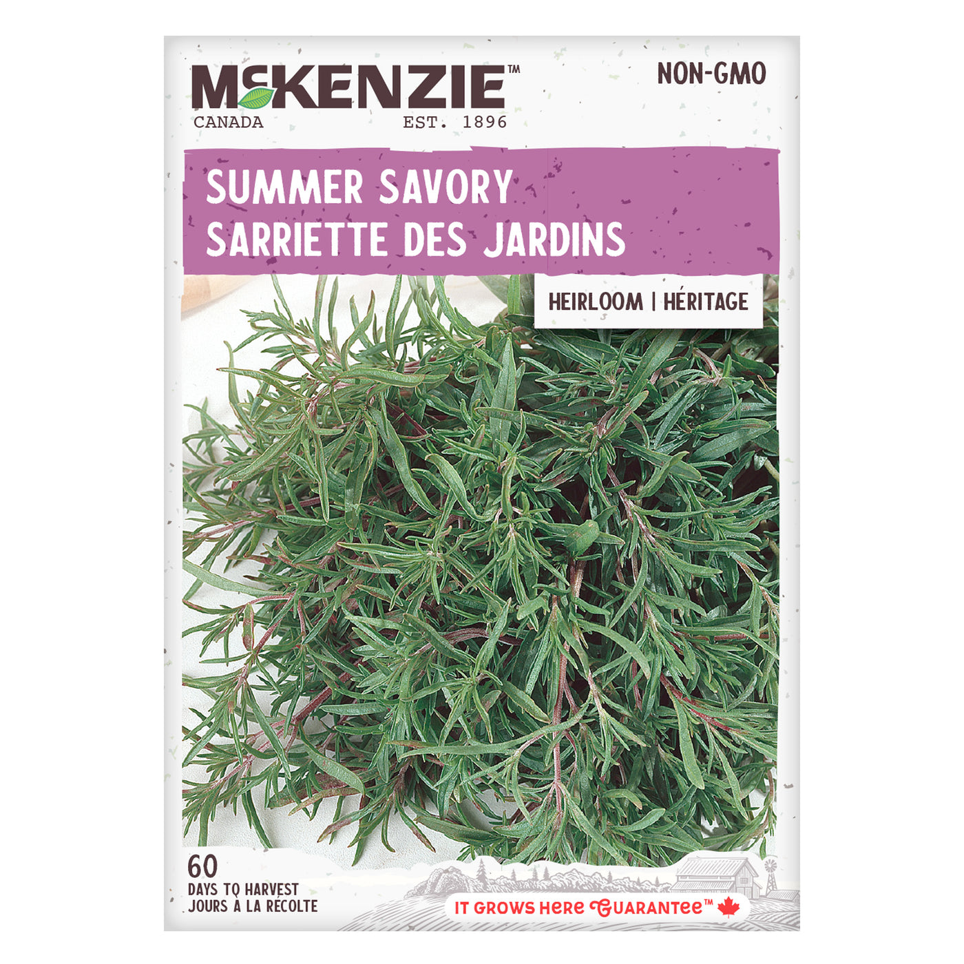 Summer Savory Seeds – McKenzie Seeds