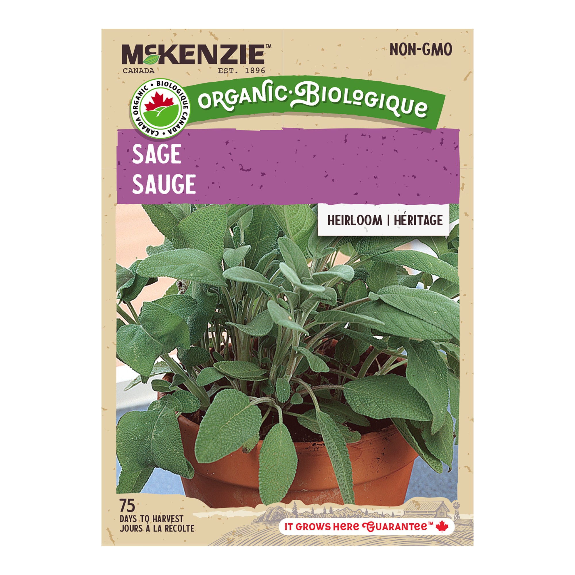 Buy Organic Herb Sage Seed Online | McKenzie Seeds