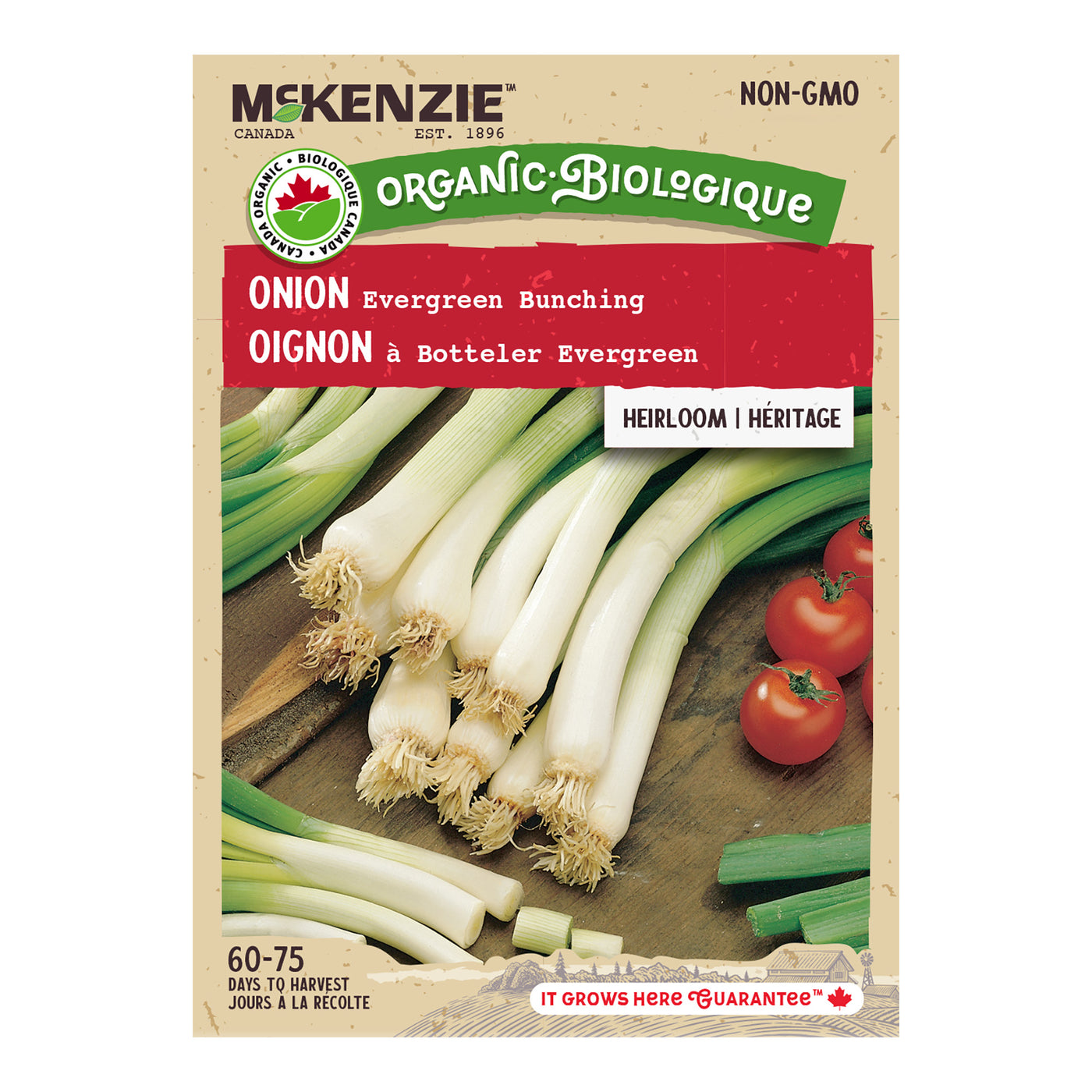 Organic Onion Seeds, Evergreen Bunching – McKenzie Seeds