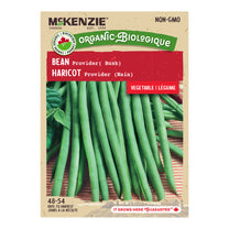 Buy Organic Provider Bush Bean Vegetable Seed Online | McKenzie Seeds