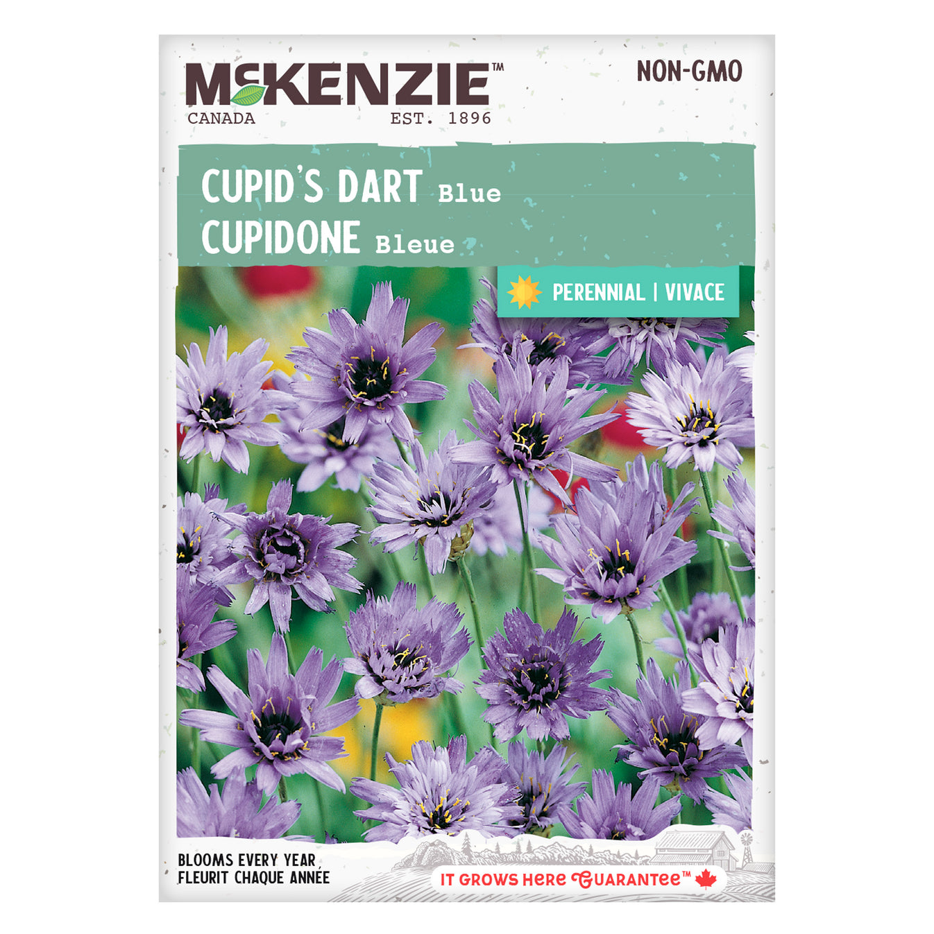 Buy Cupid's Dart Perennial Flower Seed Online | McKenzie Seeds