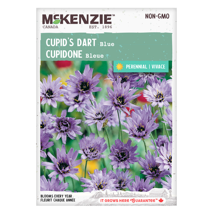 Buy Cupid's Dart Perennial Flower Seed Online | McKenzie Seeds