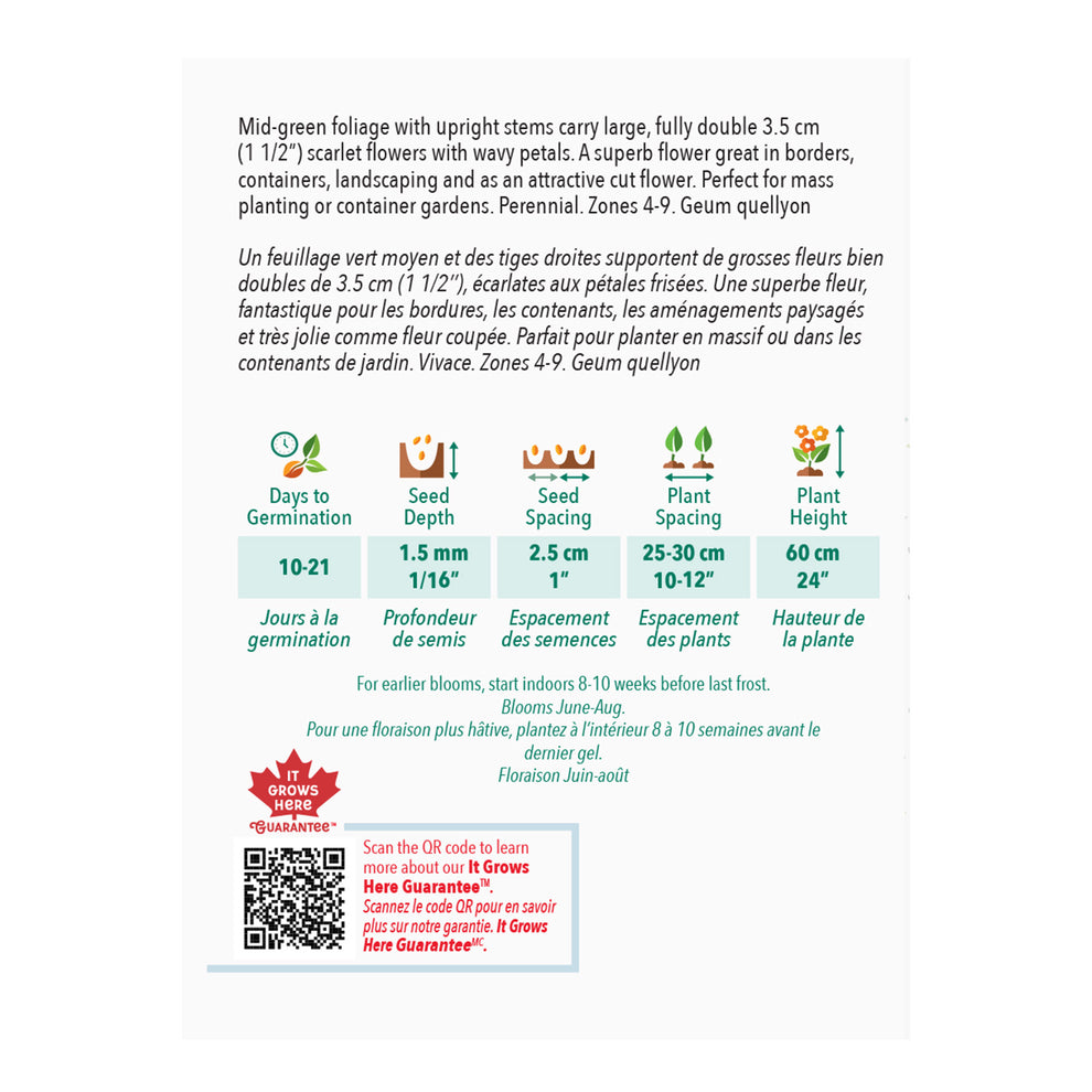Buy Red Dragon Geum Perennial Flower Seed Online | McKenzie Seeds