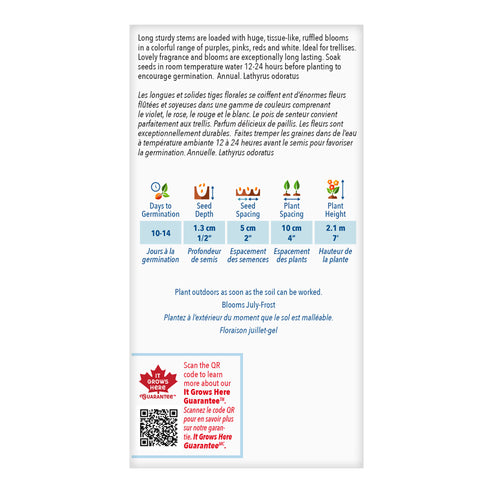 Sweet Pea Royal Family Mix Flower Seed Value Size Pack | McKenzie Seeds