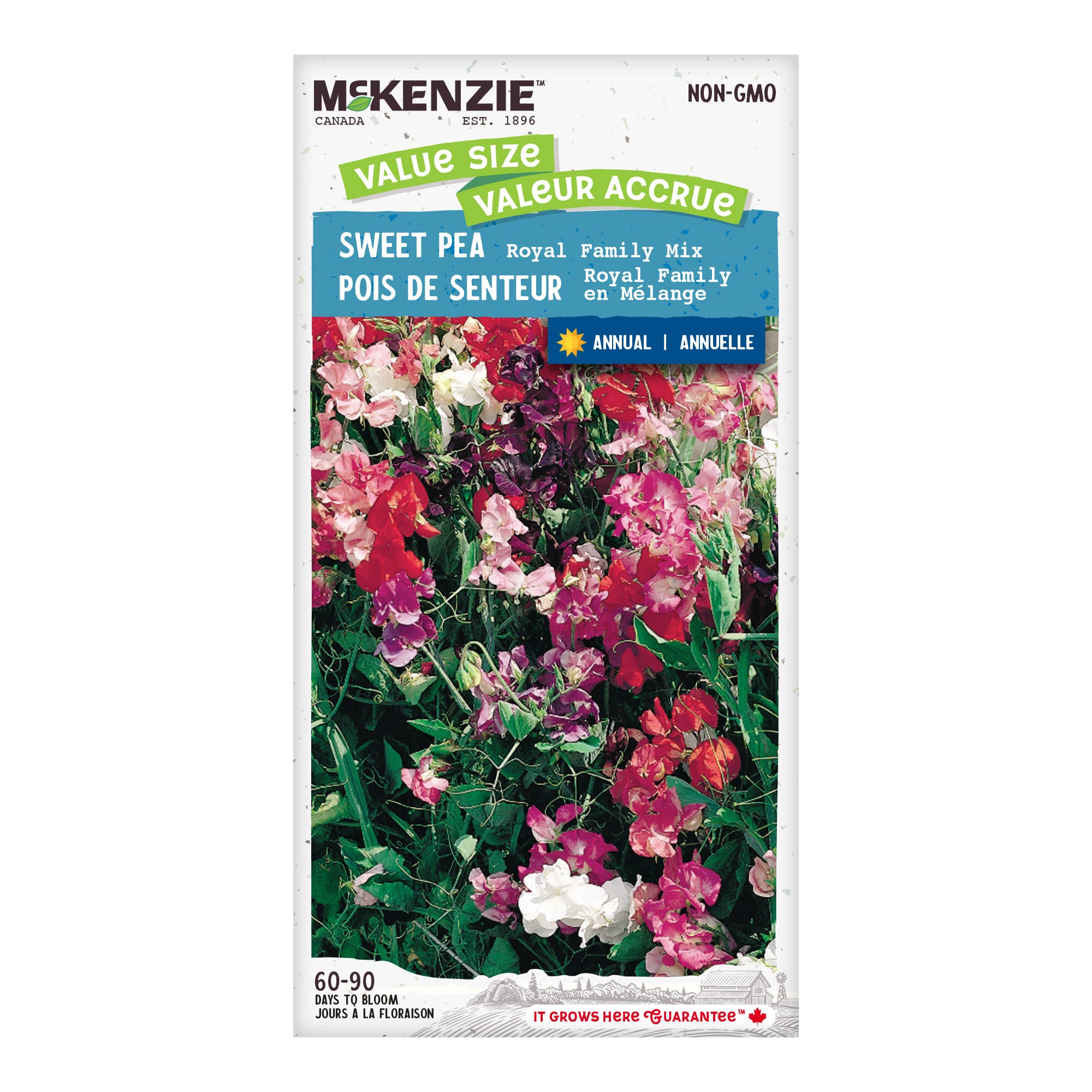 Sweet Pea Royal Family Mix Flower Seed Value Size Pack | McKenzie Seeds