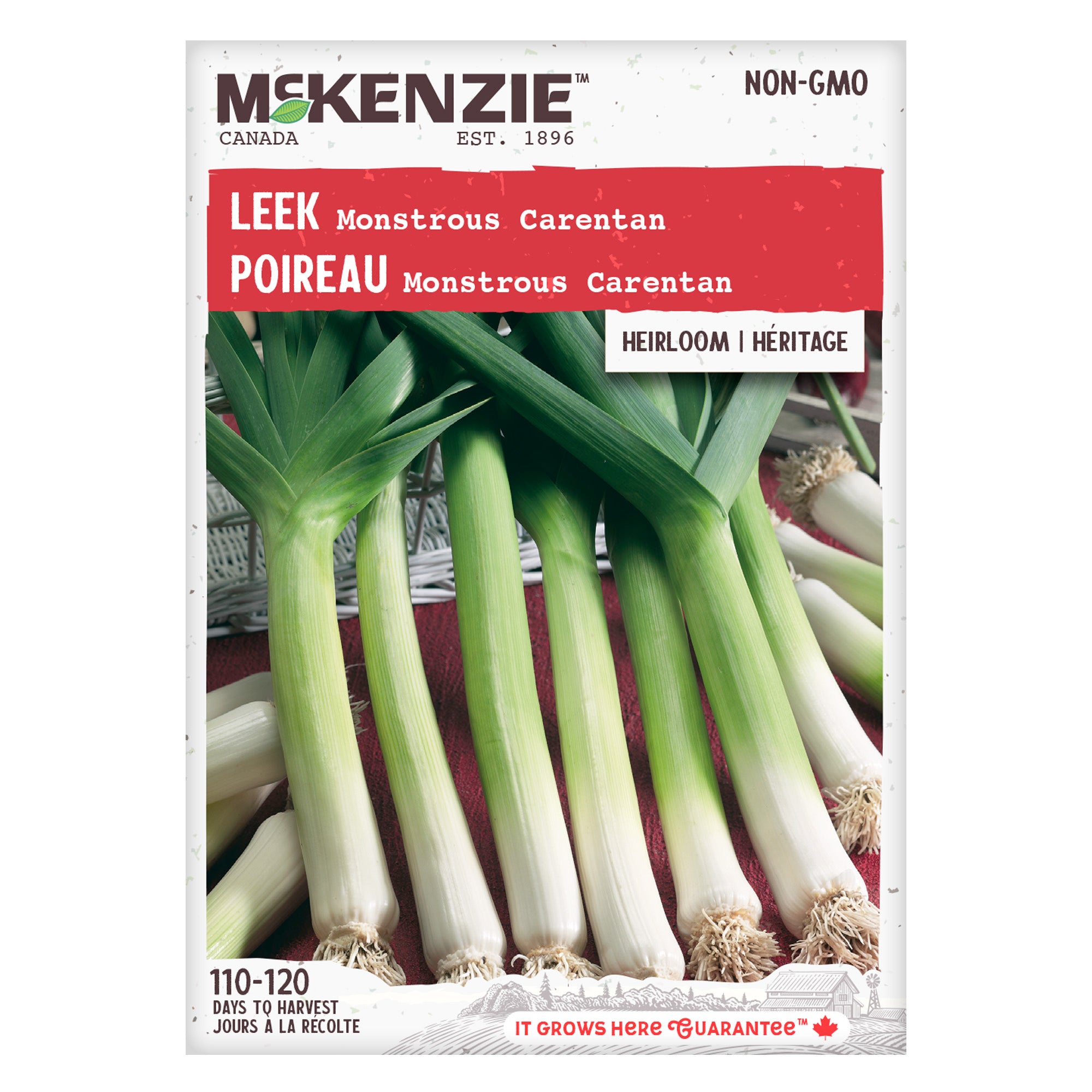 Buy Leek Monstrous Carentan Vegetable Seed Online | McKenzie Seeds