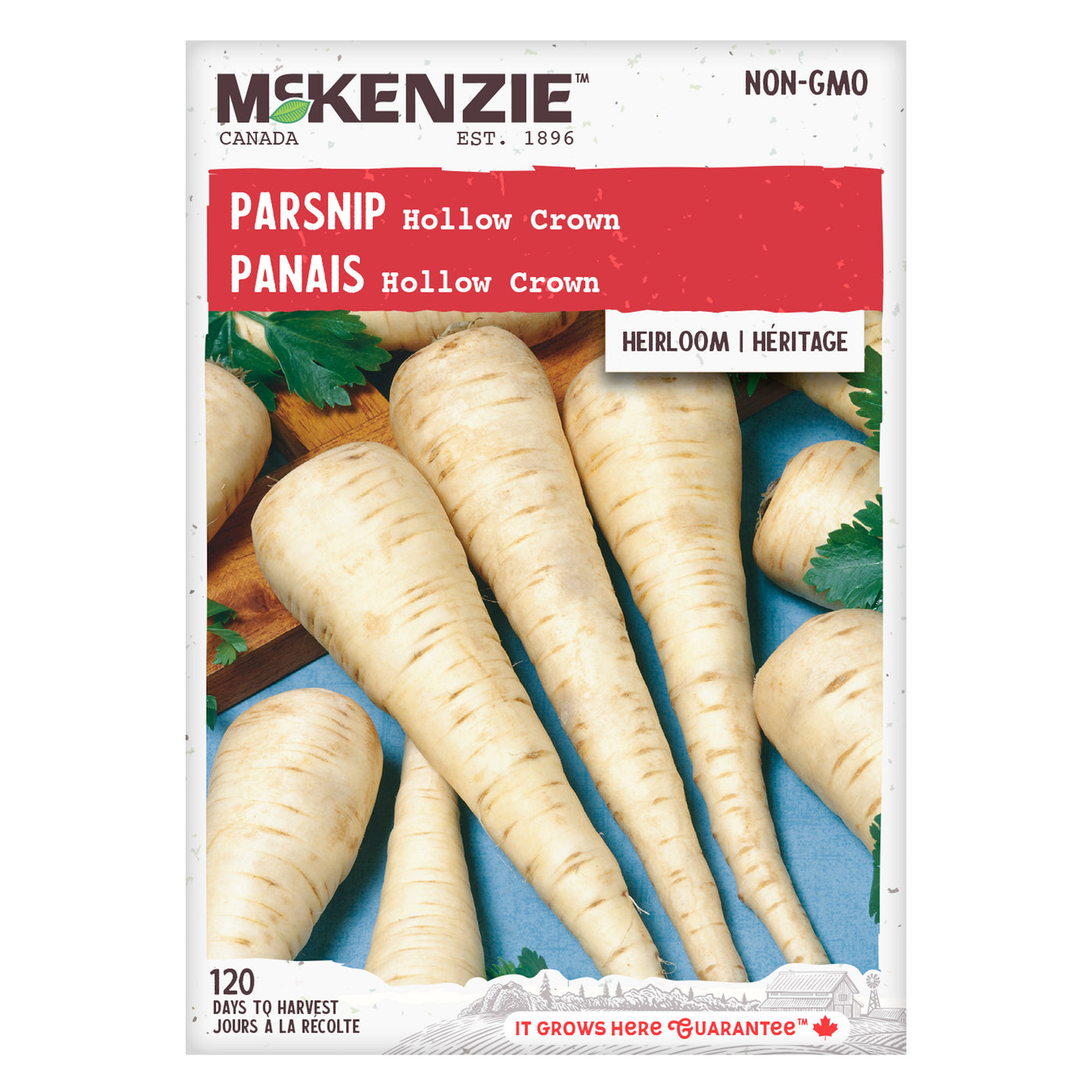 Parsnip Seeds, Hollow Crown – McKenzie Seeds