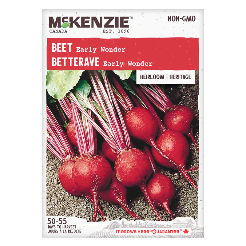 Beet Seeds, Early Wonder – McKenzie Seeds