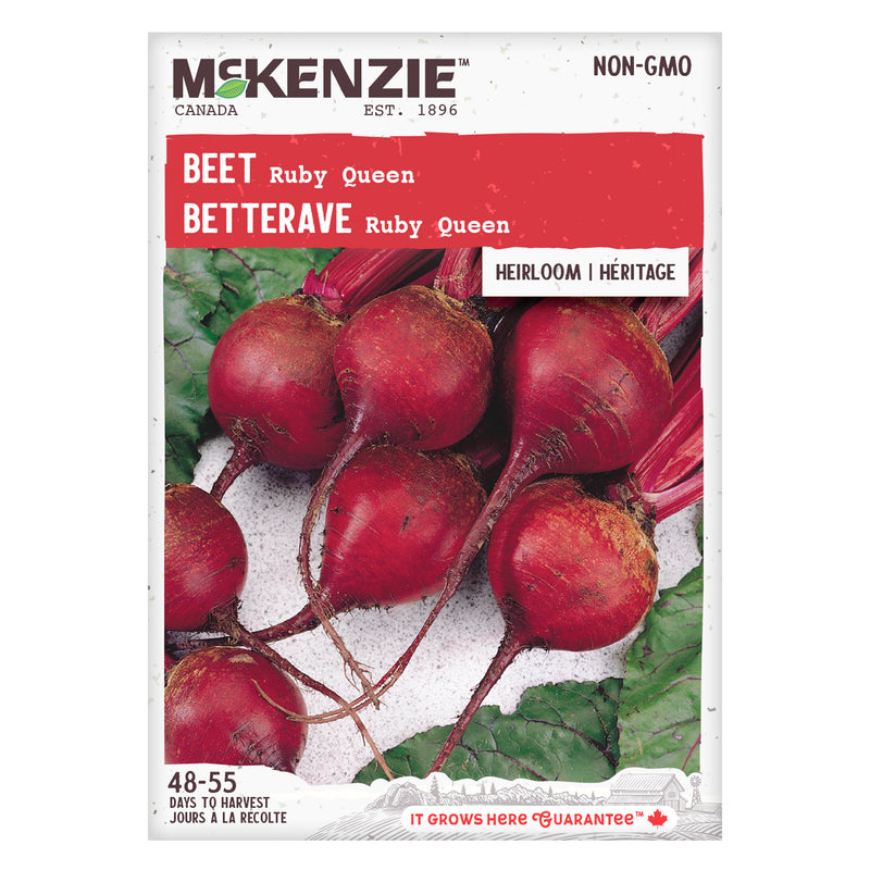 Beet Seeds, Ruby Queen – McKenzie Seeds