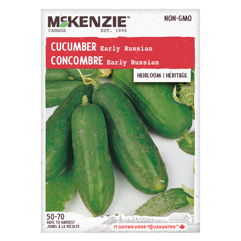 Cucumber Seeds, Early Russian – McKenzie Seeds