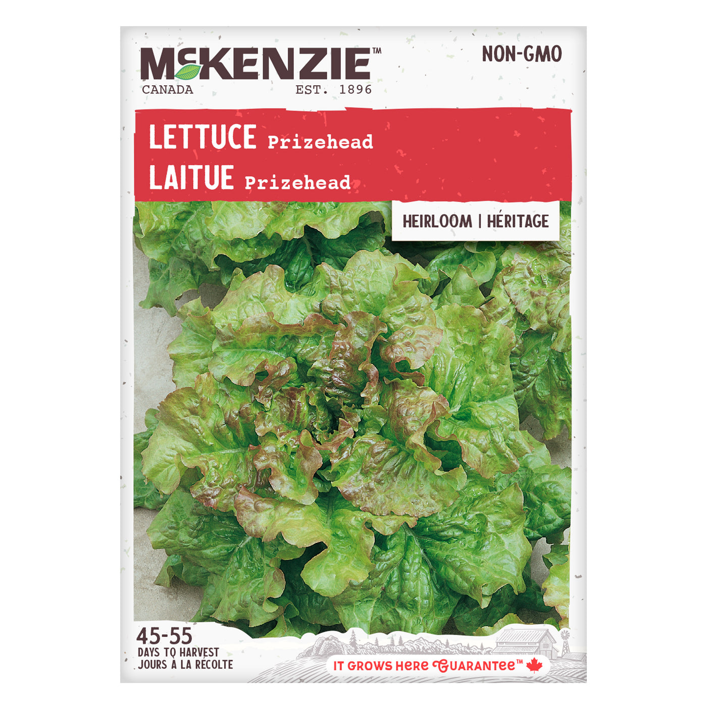 Lettuce Seeds, Prizehead – McKenzie Seeds