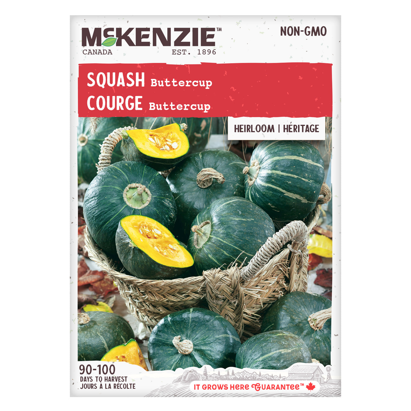 Squash Seeds, Buttercup – McKenzie Seeds