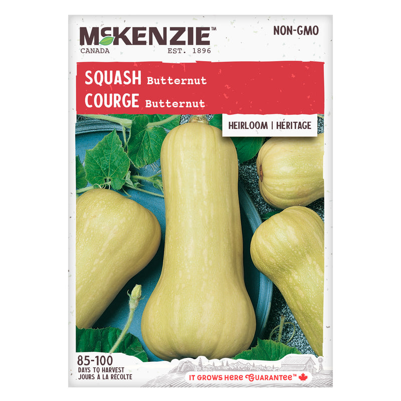 Squash Seeds, Butternut – McKenzie Seeds