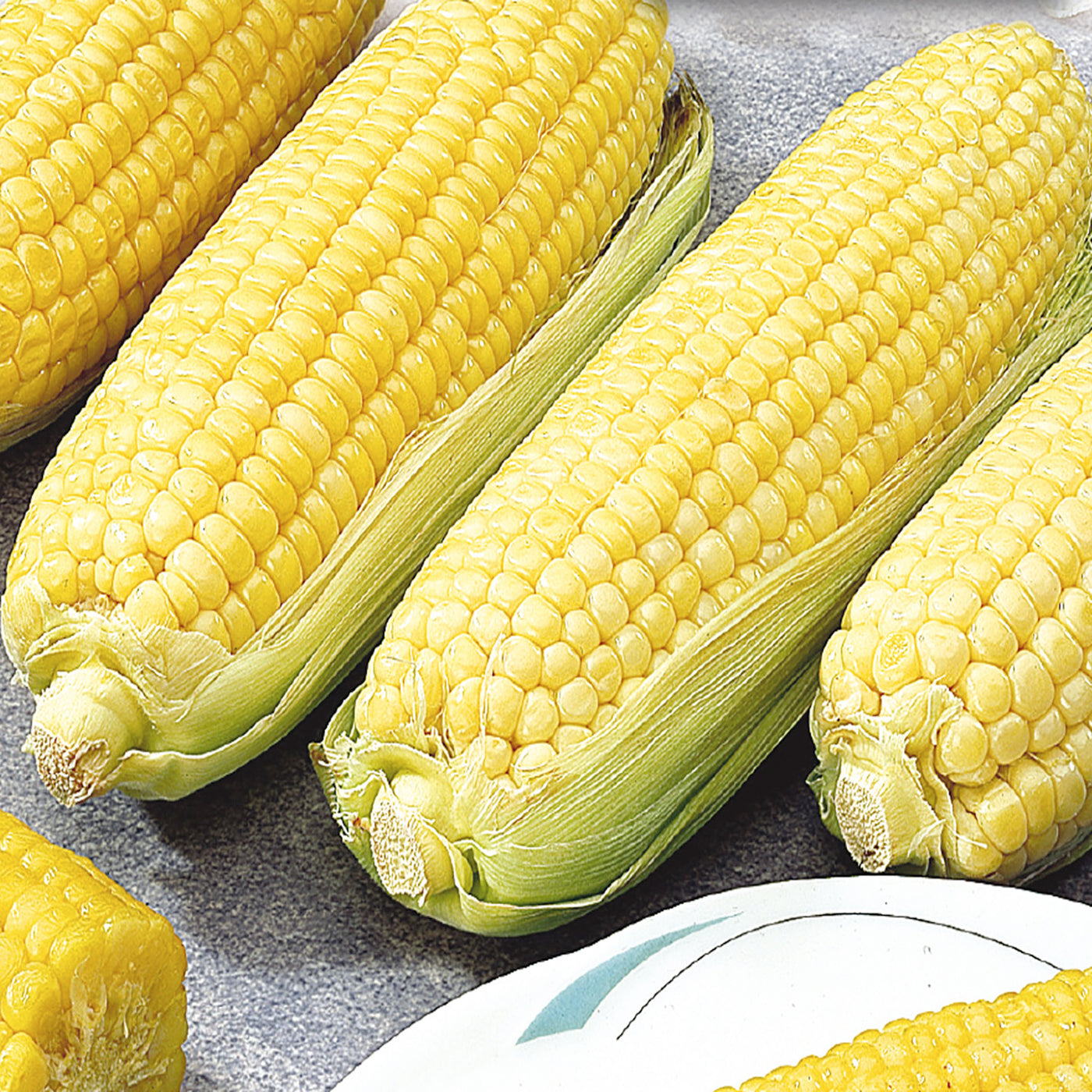 Corn Seeds, Canadian Early Supersweet Hybrid SH2 – McKenzie Seeds