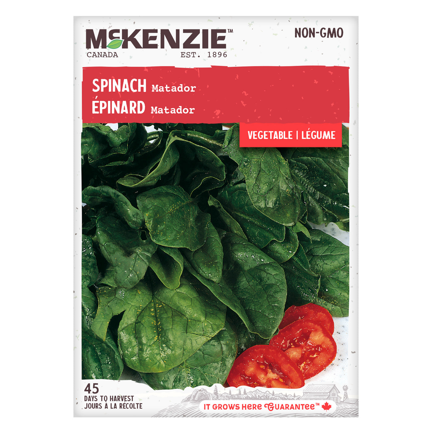 Spinach Seeds, Matador – McKenzie Seeds