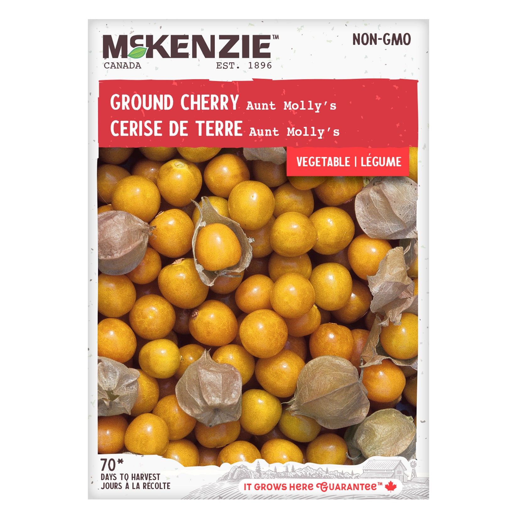 Buy Aunt Molly's Ground Cherry Vegetable Seed Online | McKenzie Seeds