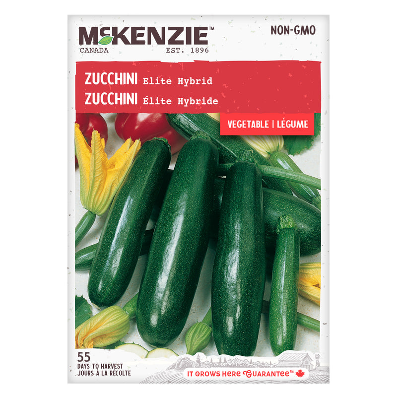 Zucchini Seeds, Elite Hybrid – McKenzie Seeds
