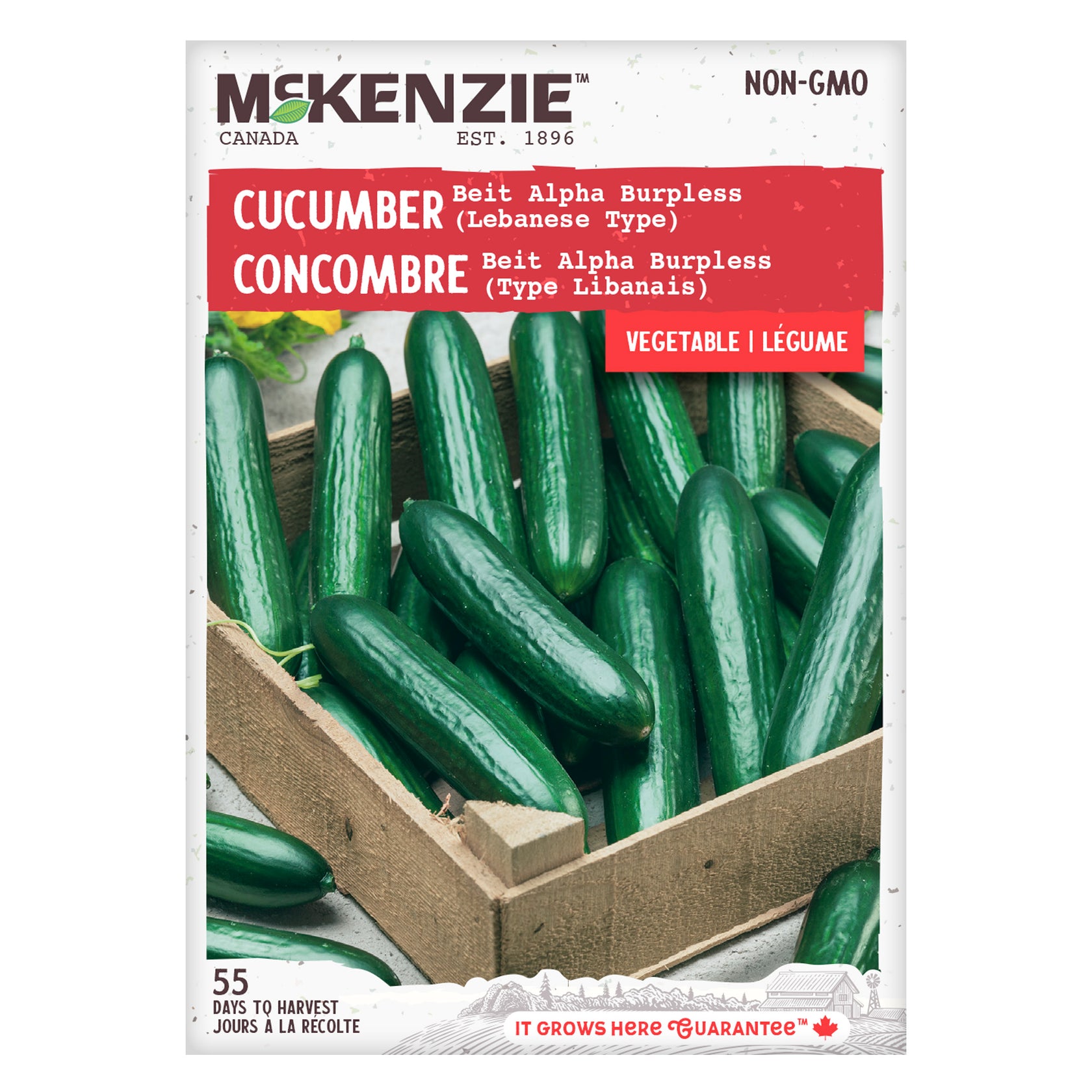 Buy Beit Alpha Burpless Lebanese Type Cucumber Seed | McKenzie Seeds