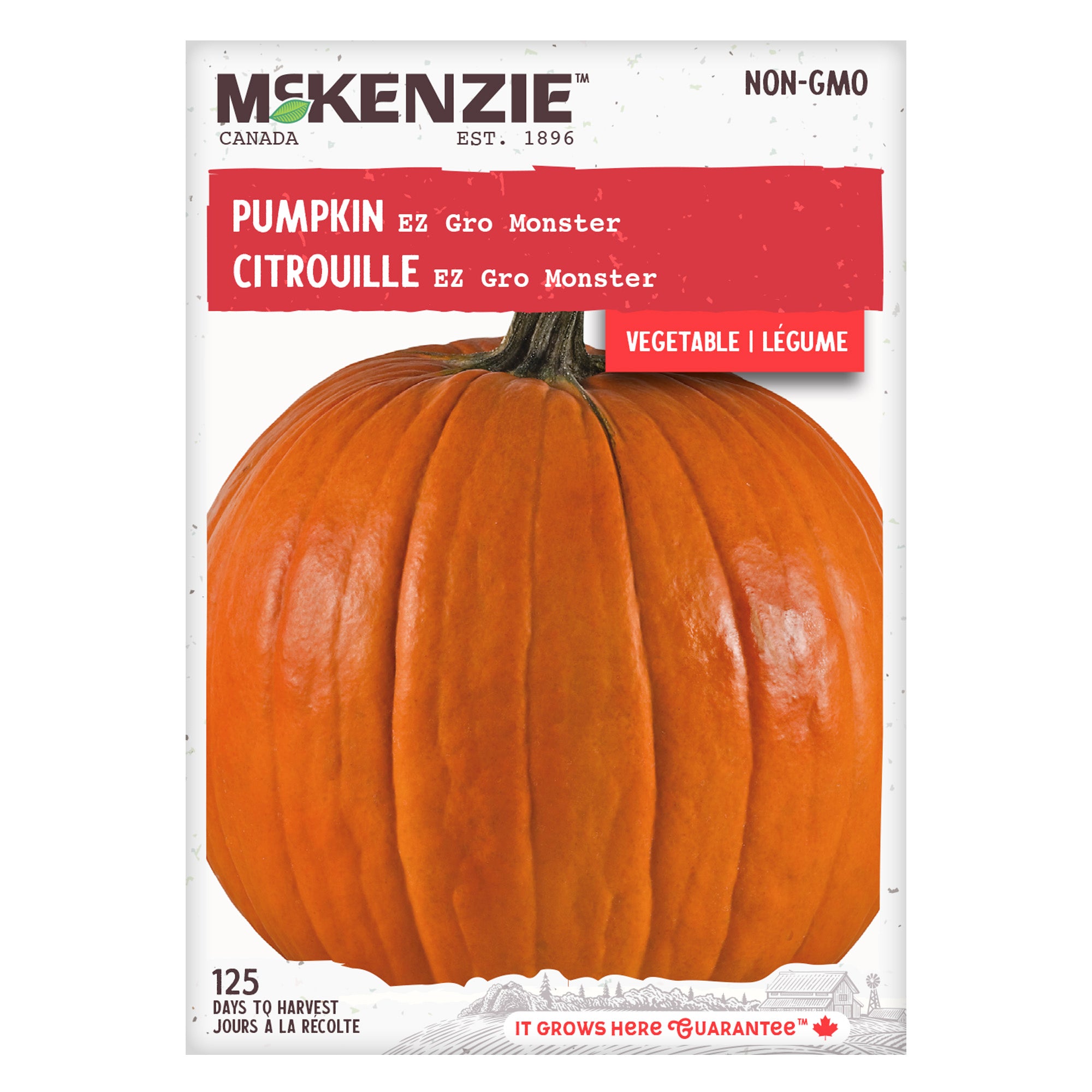 Buy Pumpkin EZ Grow Monster Seed Online | McKenzie Seeds